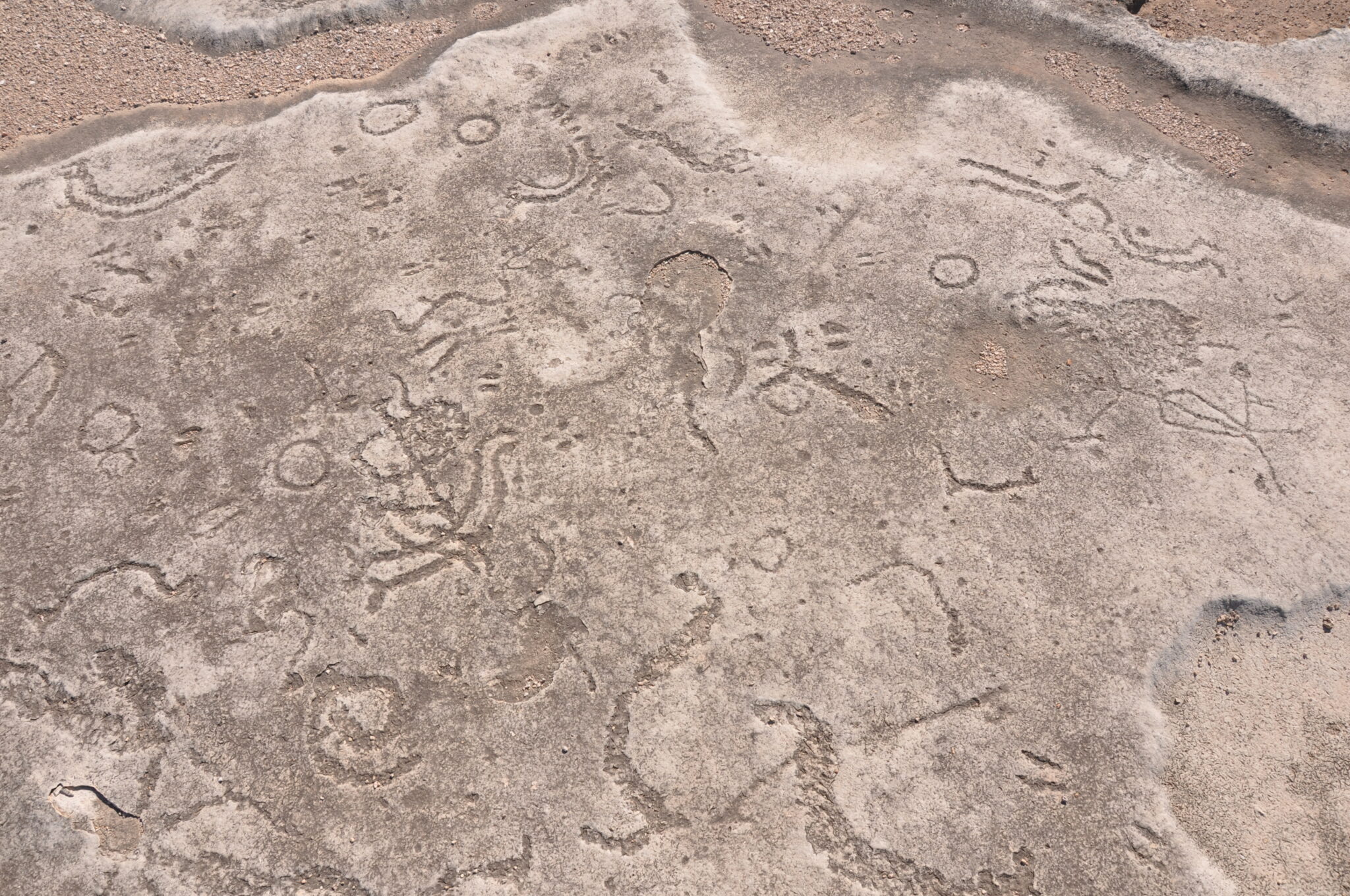 Lower Pecos River - Texas Rivers Protection Association