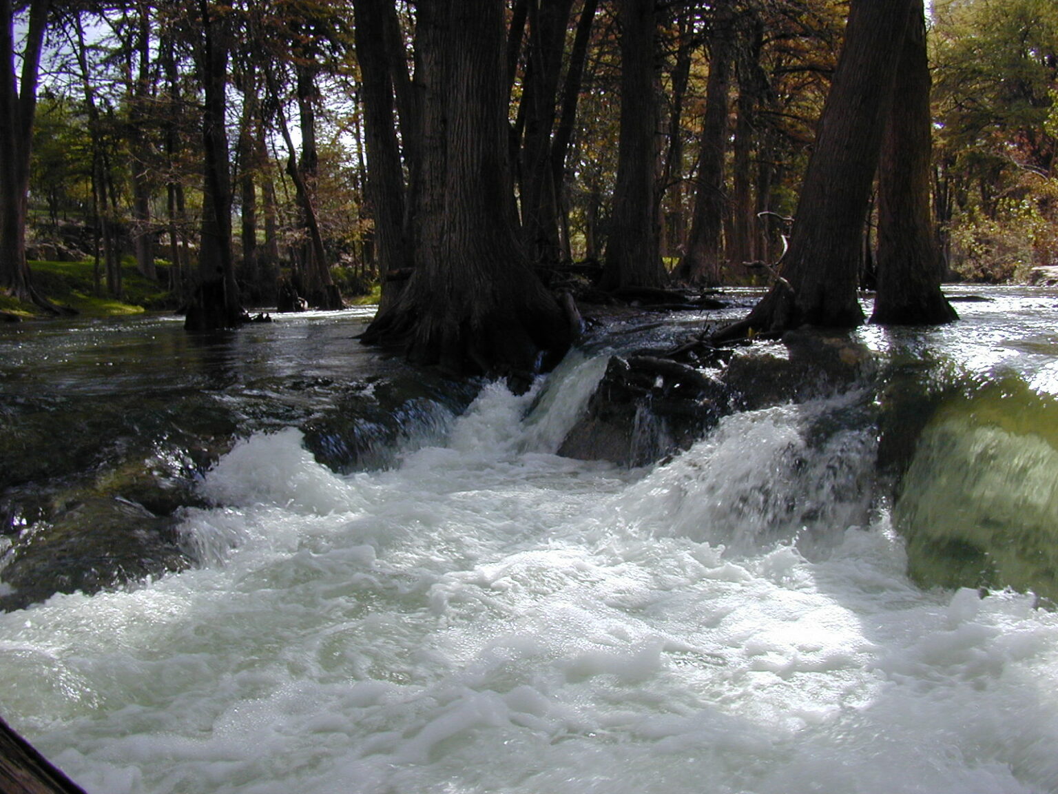 Guadalupe River - Texas Rivers Protection Association