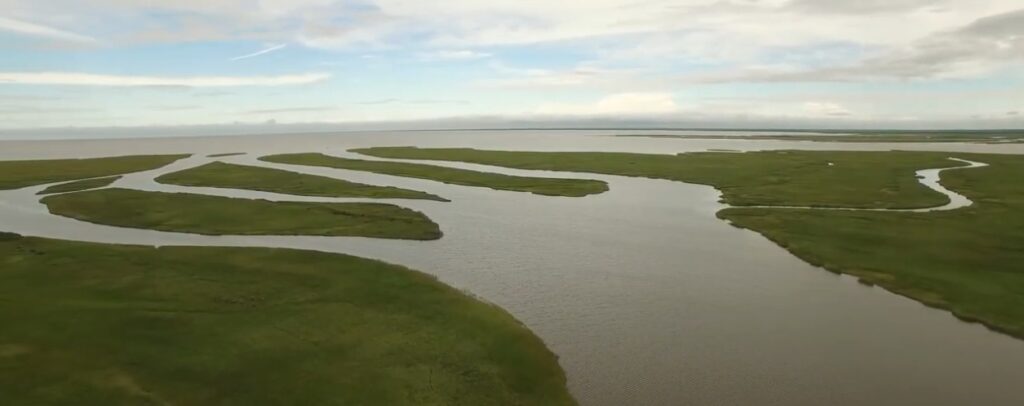 Discover Texas Rivers - Texas Rivers Protection Association