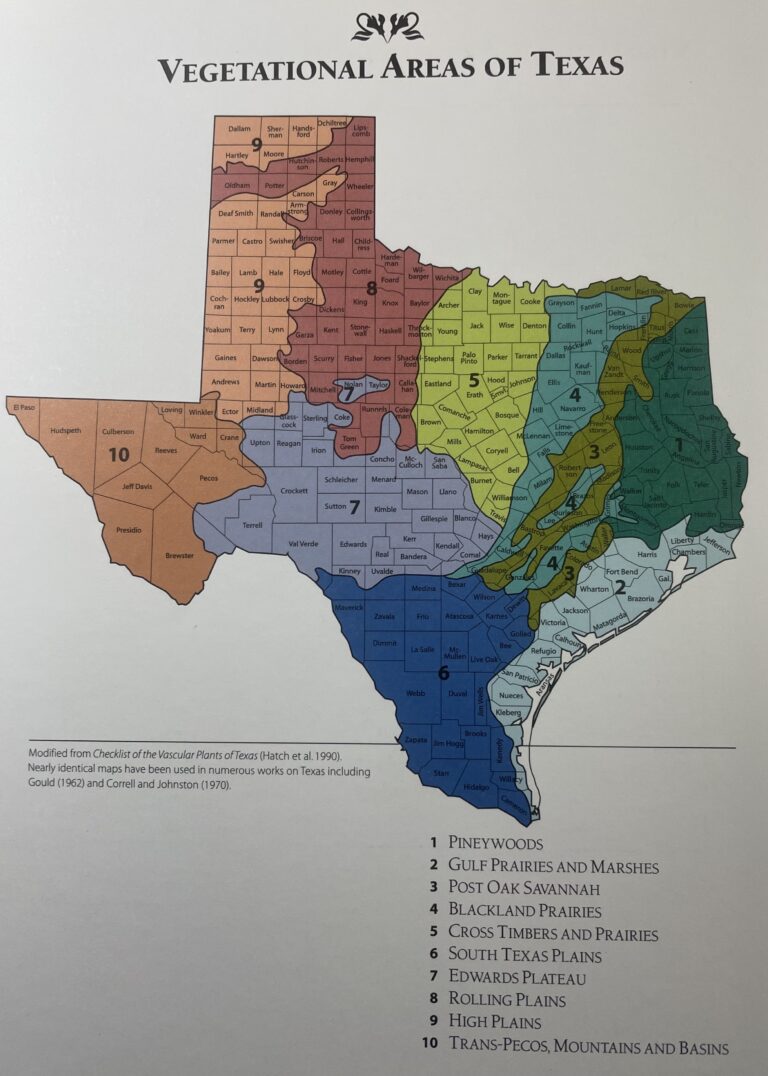 Trinity River - Texas Rivers Protection Association