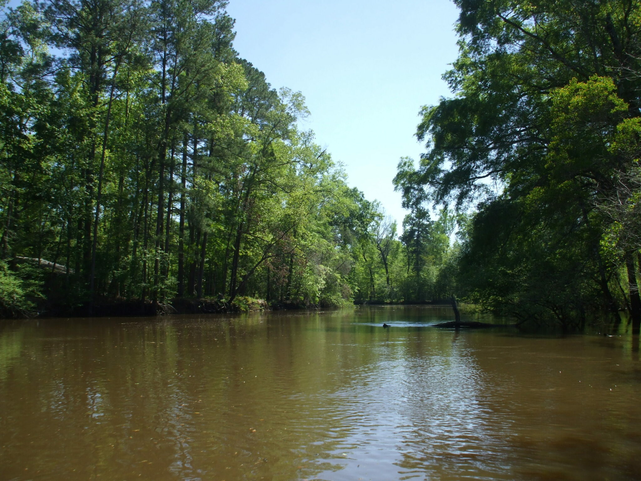 Neches River - Texas Rivers Protection Association