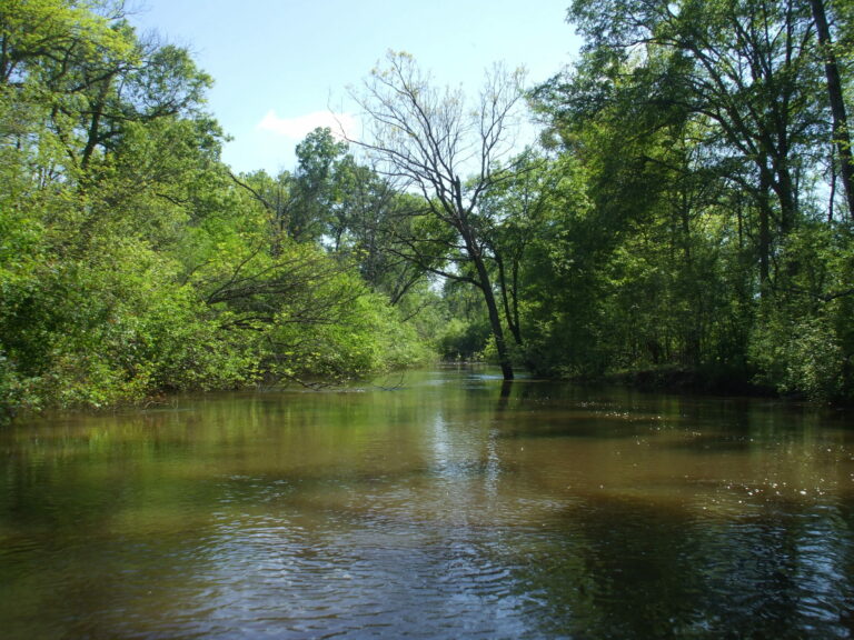 Neches River - Texas Rivers Protection Association