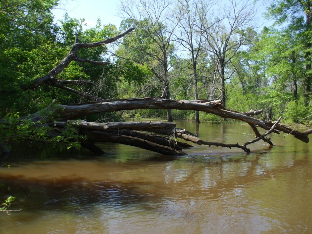 Common River Hazards - Texas Rivers Protection Association