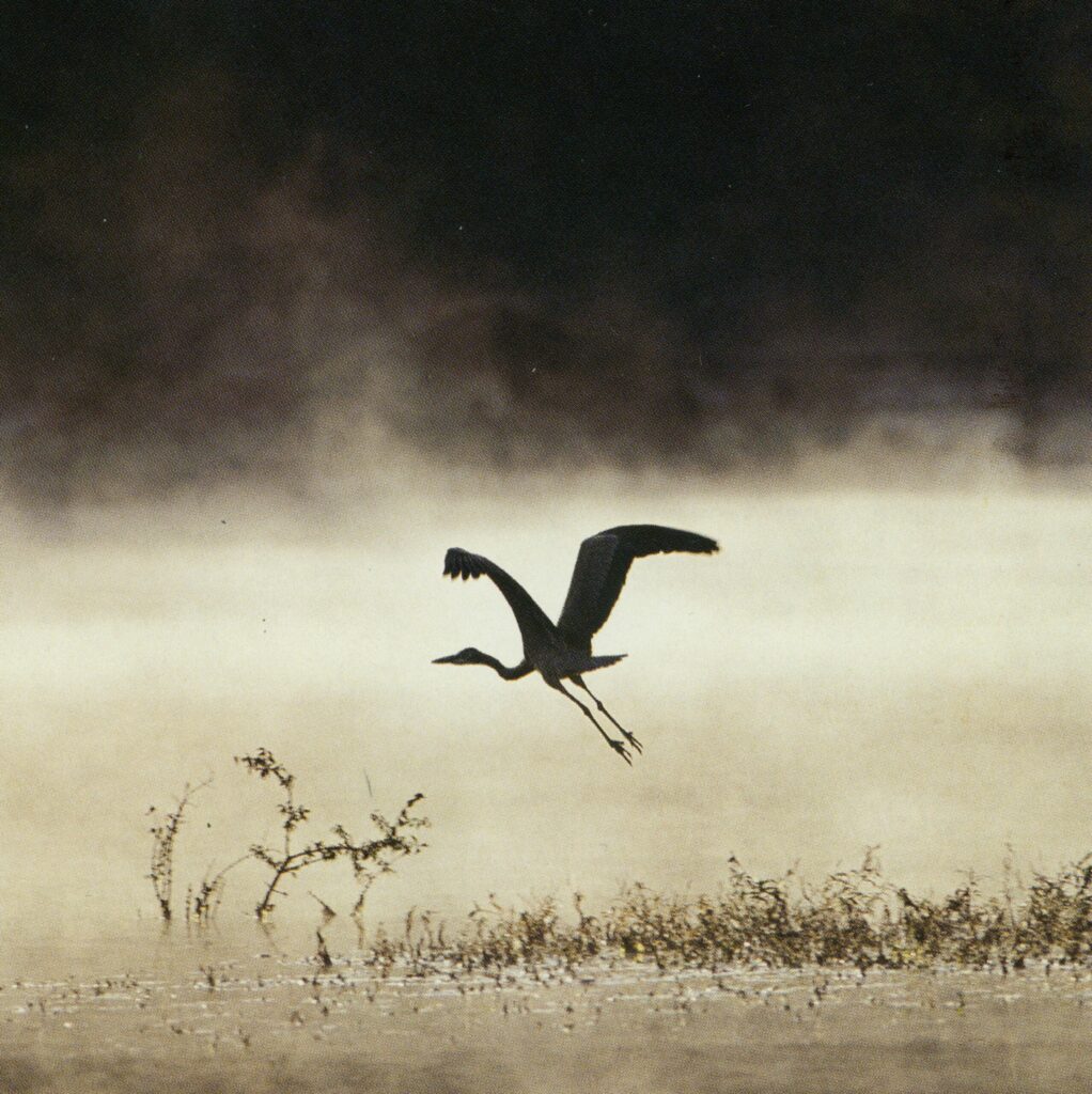 Neches River - Texas Rivers Protection Association