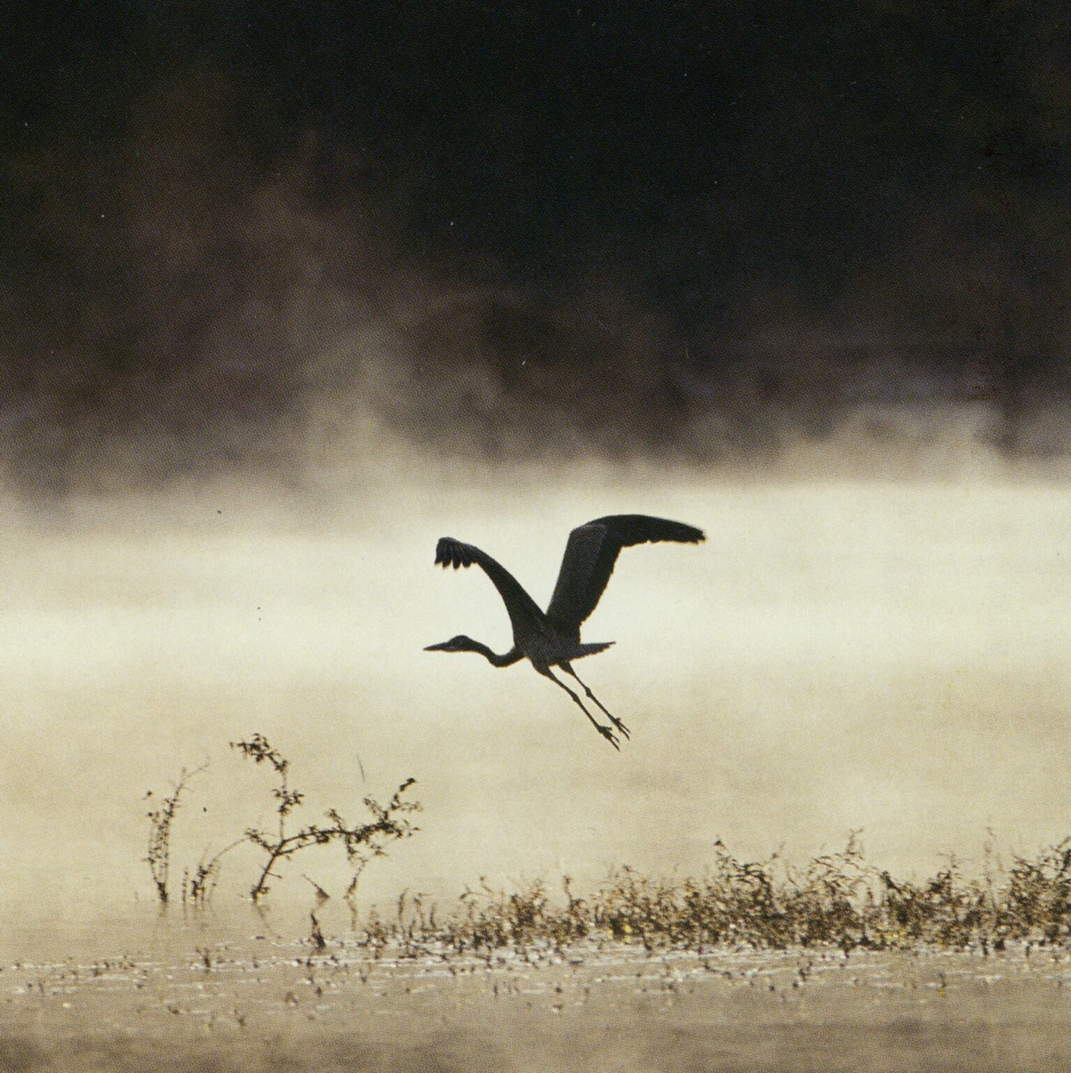 Neches River - Texas Rivers Protection Association